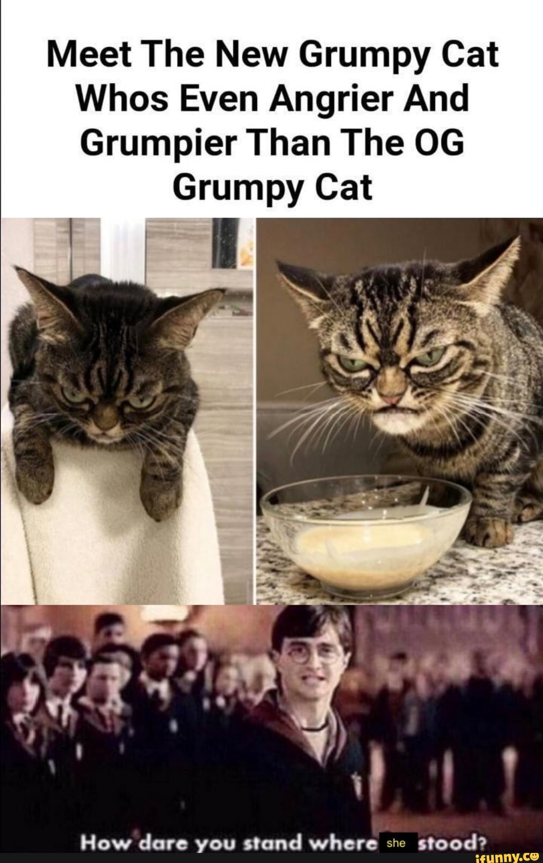 Grumpier memes. Best Collection of funny Grumpier pictures on iFunny