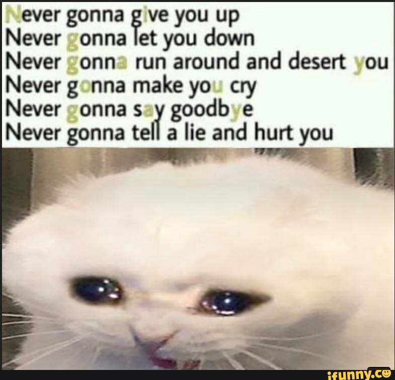 Ever gonna give you up Never wonna let you down Never gonna run around ...