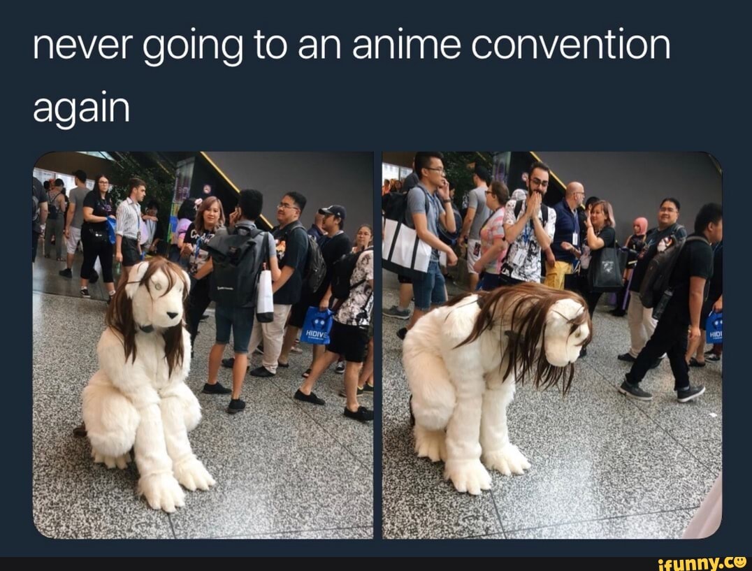 Memes and More Things - never going to an anime convention again - iFunny