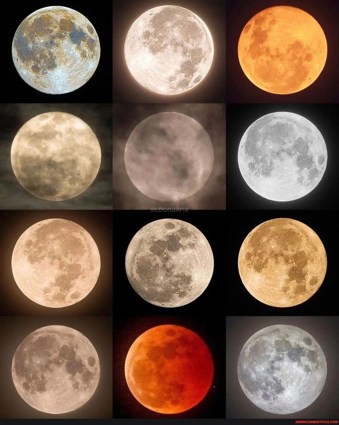 The 12 full moons of the year! 🌖 captured each and every month of 2022 ...