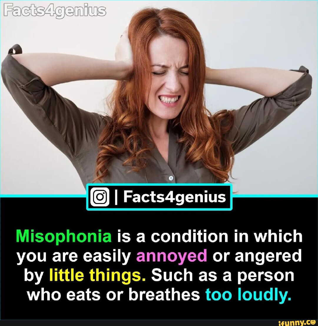 Misophonia memes. Best Collection of funny Misophonia pictures on iFunny