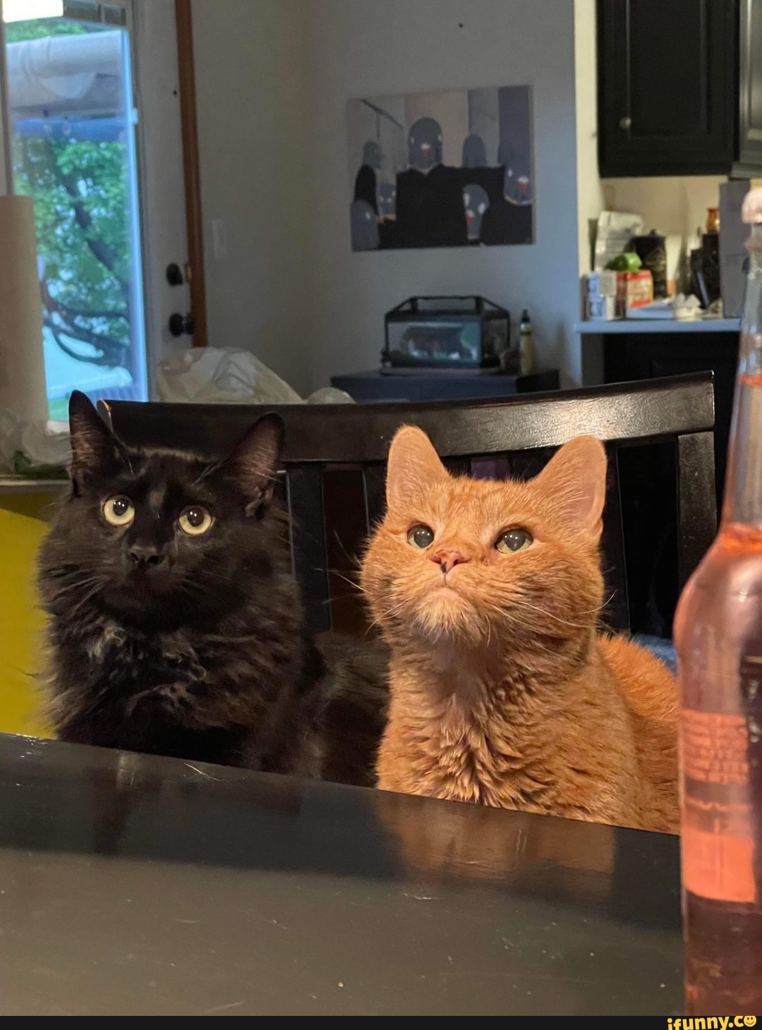 Judgy memes. Best Collection of funny Judgy pictures on iFunny