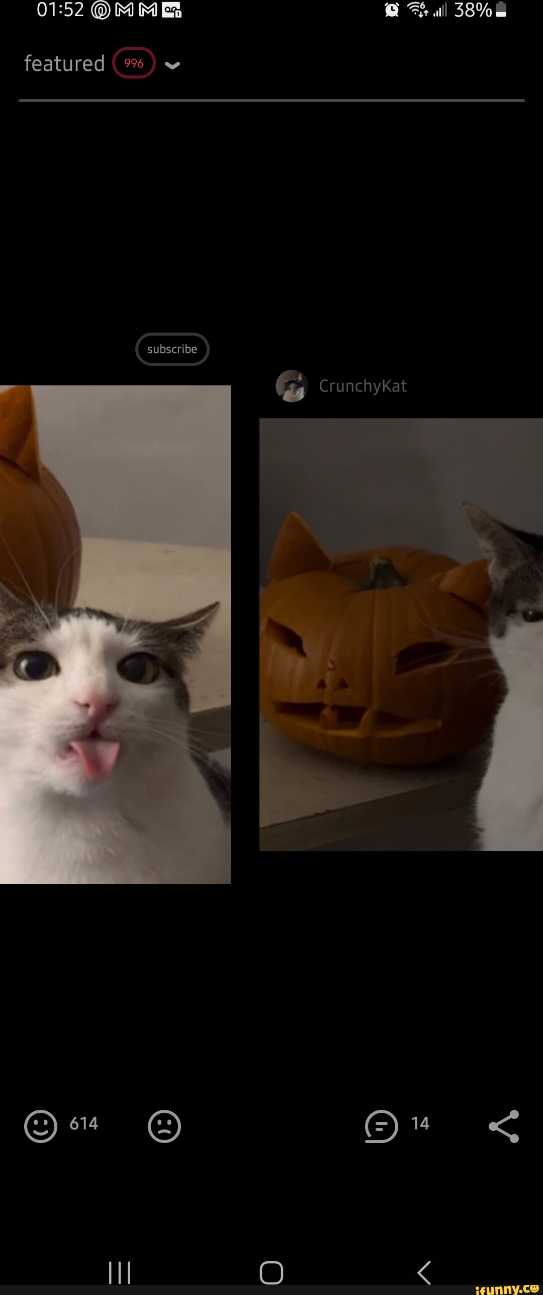 Brownnose Pup @messytails 14 Jul 16 I made paws and had some fun a few ...