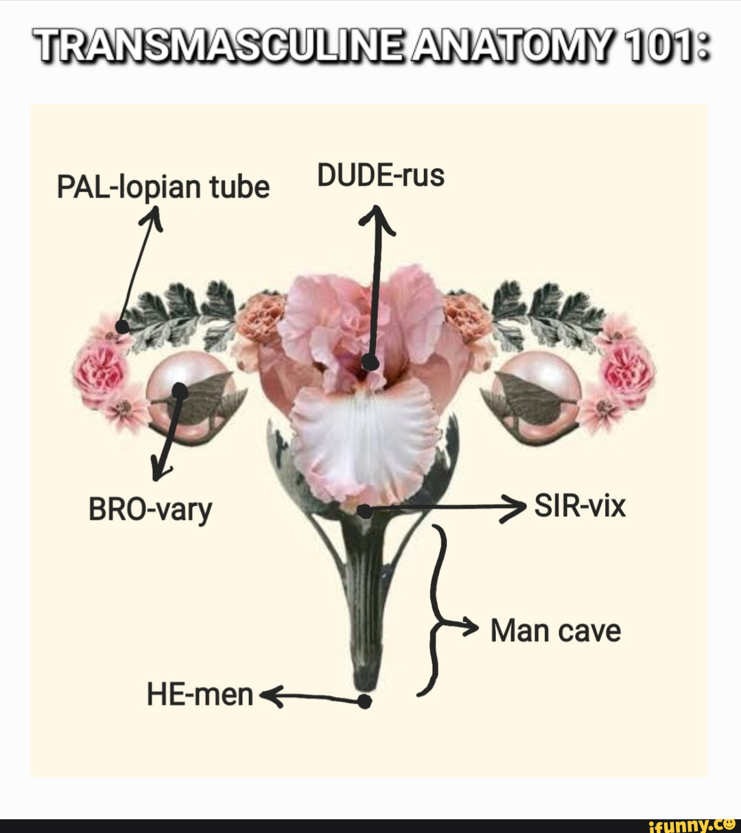 Either The LADYck Or The LADick Reaches For The SIRvix Inside The Man ...