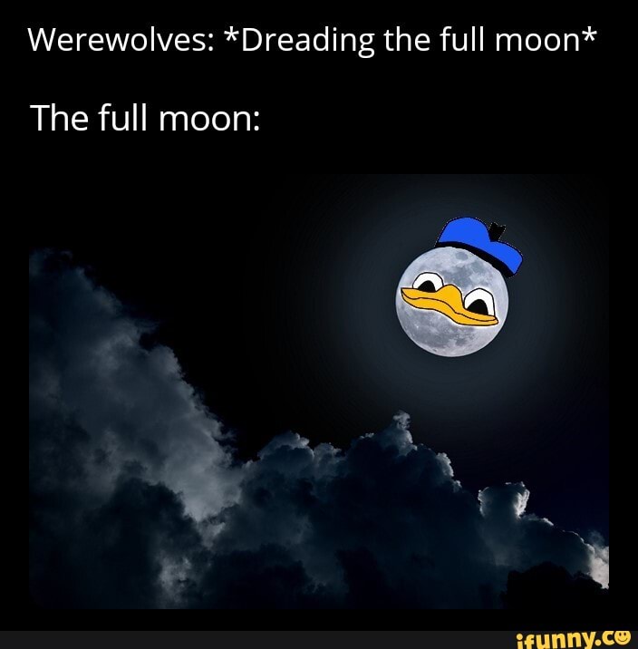 Werewolves: *Dreading the full moon* The full moon: - iFunny