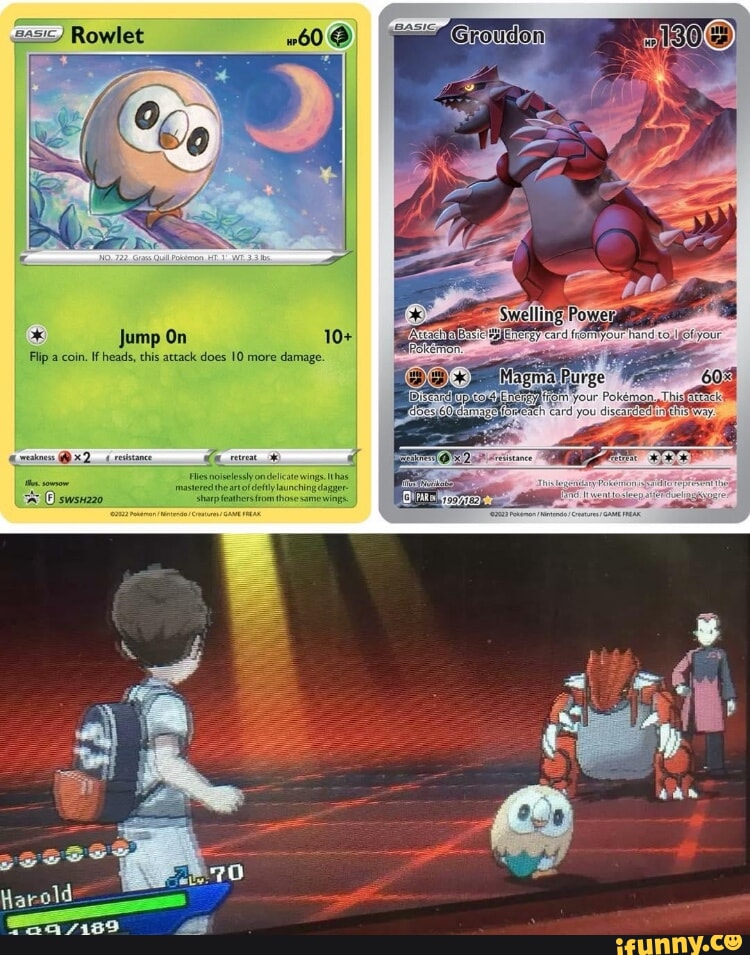 Rowlet memes. Best Collection of funny Rowlet pictures on iFunny