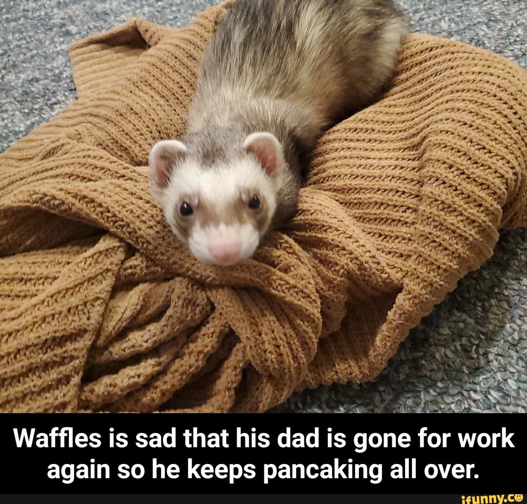 Pancaking memes. Best Collection of funny Pancaking pictures on iFunny