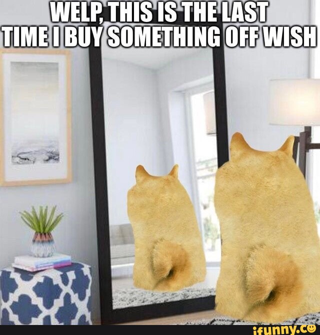 WELP, THIS IS THE LAST TIME I BUY SOMETHING OFF WISH - iFunny