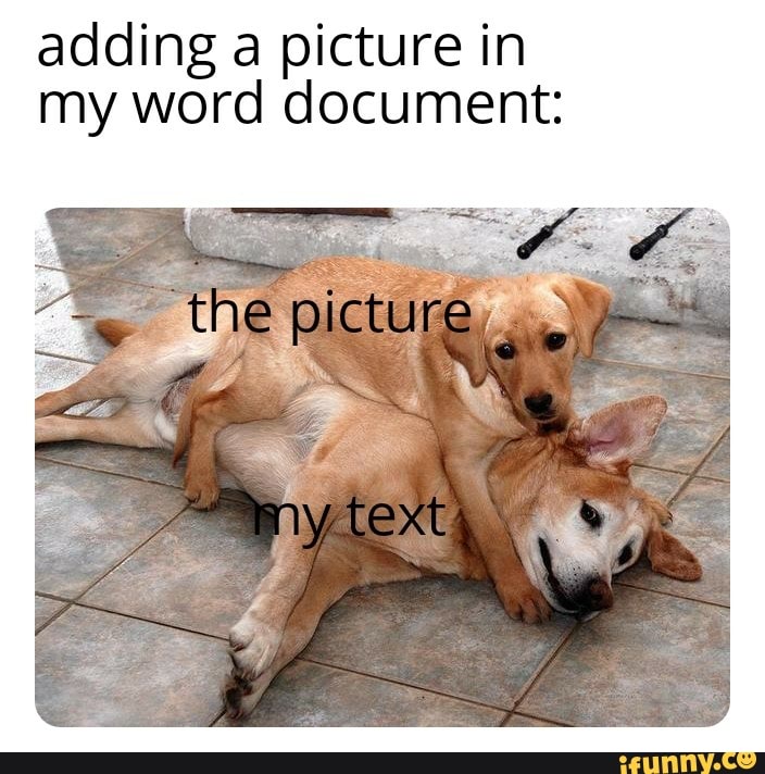 Adding A Picture In My Word Document the Picture adding-a-picture-in-my-word-document-the-picture