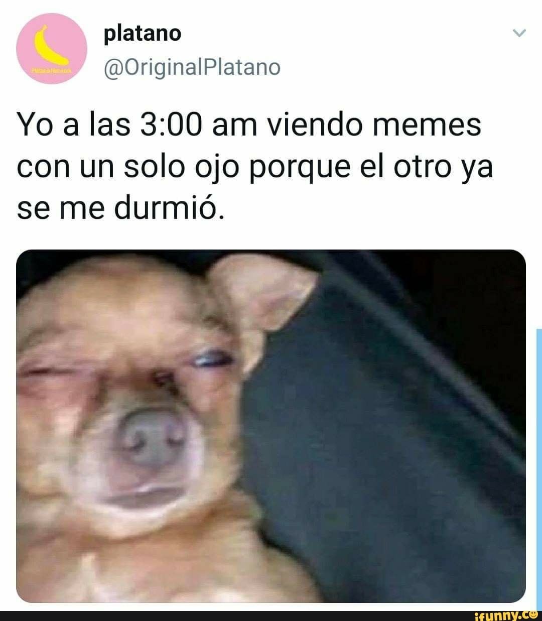 Yo alas am viendo memes con un solo ojo porque el otro ya se me durmio ...