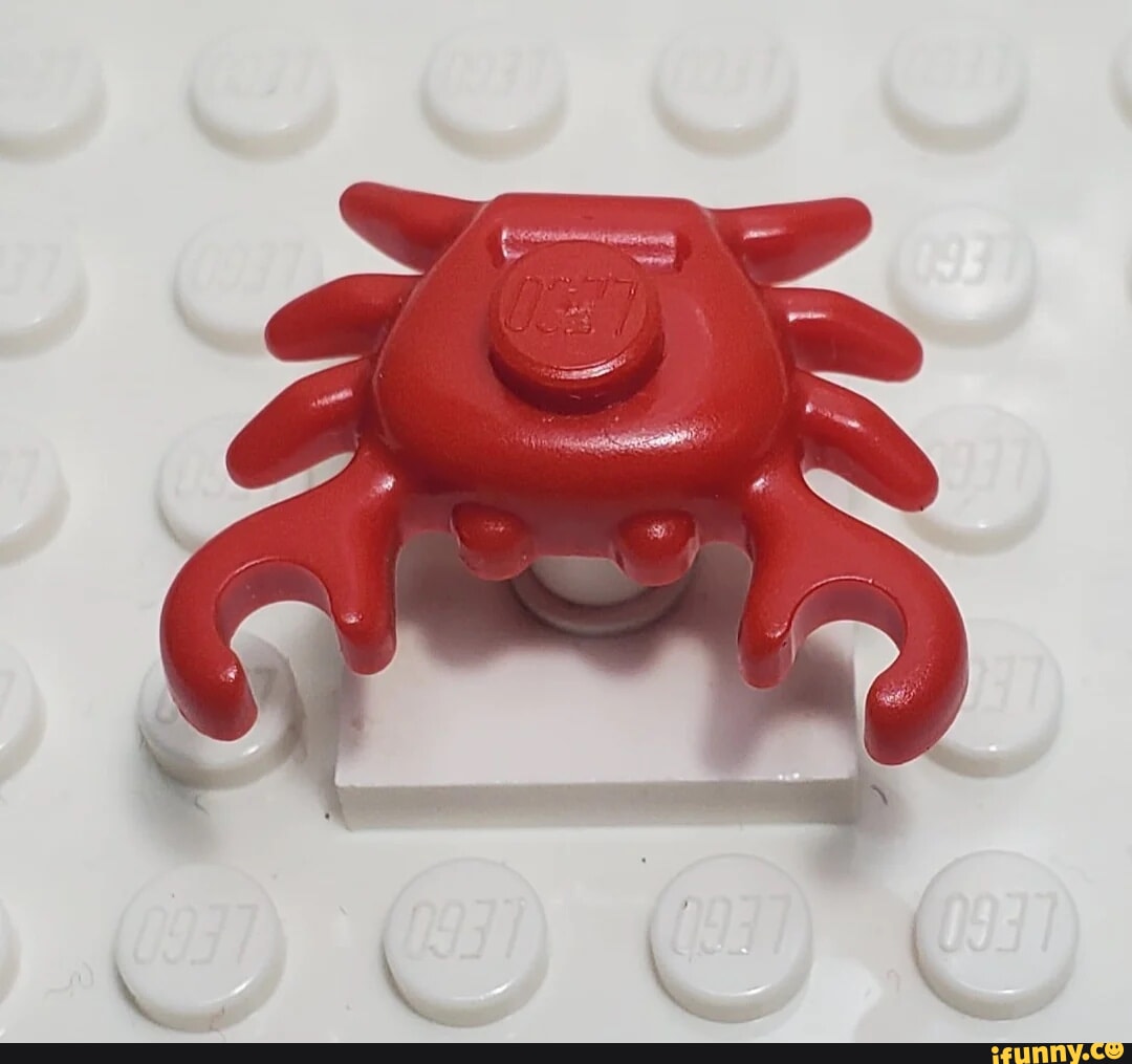 Legopiece memes. Best Collection of funny Legopiece pictures on iFunny