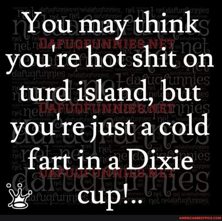 You may think you re hot shit on turd island, but you re just a cold ...