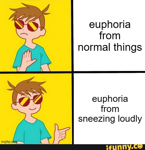 Inspired by another meme on rtraa - euphoria from normal things ...