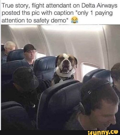 True story, flight attendant on Delta Airways posted ths pic with ...