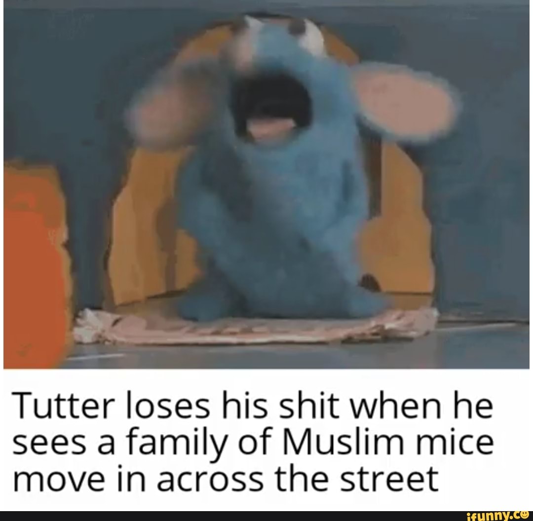 Tutter memes. Best Collection of funny Tutter pictures on iFunny