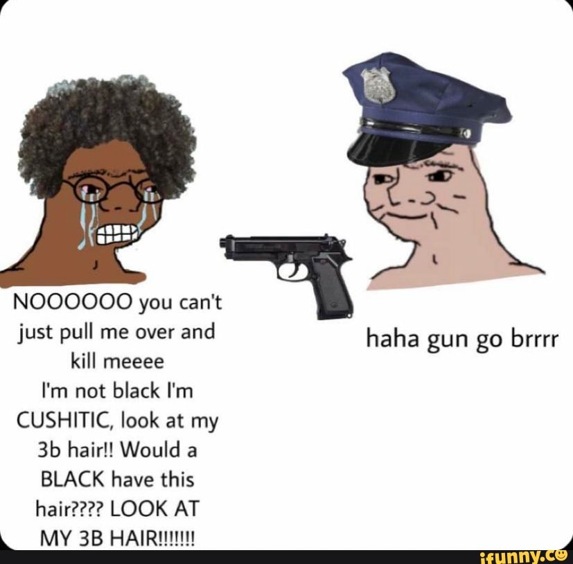 NOOOOOO you can't just pull me over and haha gun go brrrr Kill meeee I ...