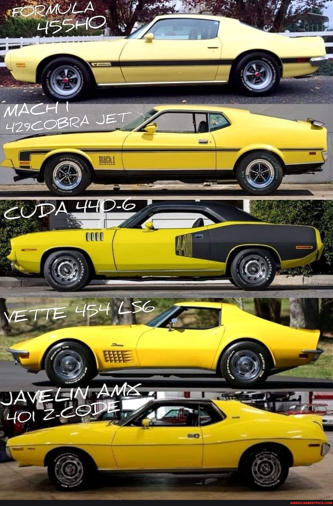 YSBSHO - MACH VETTE AVELIN AMPS HO Z- COPE ws - America’s best pics and ...