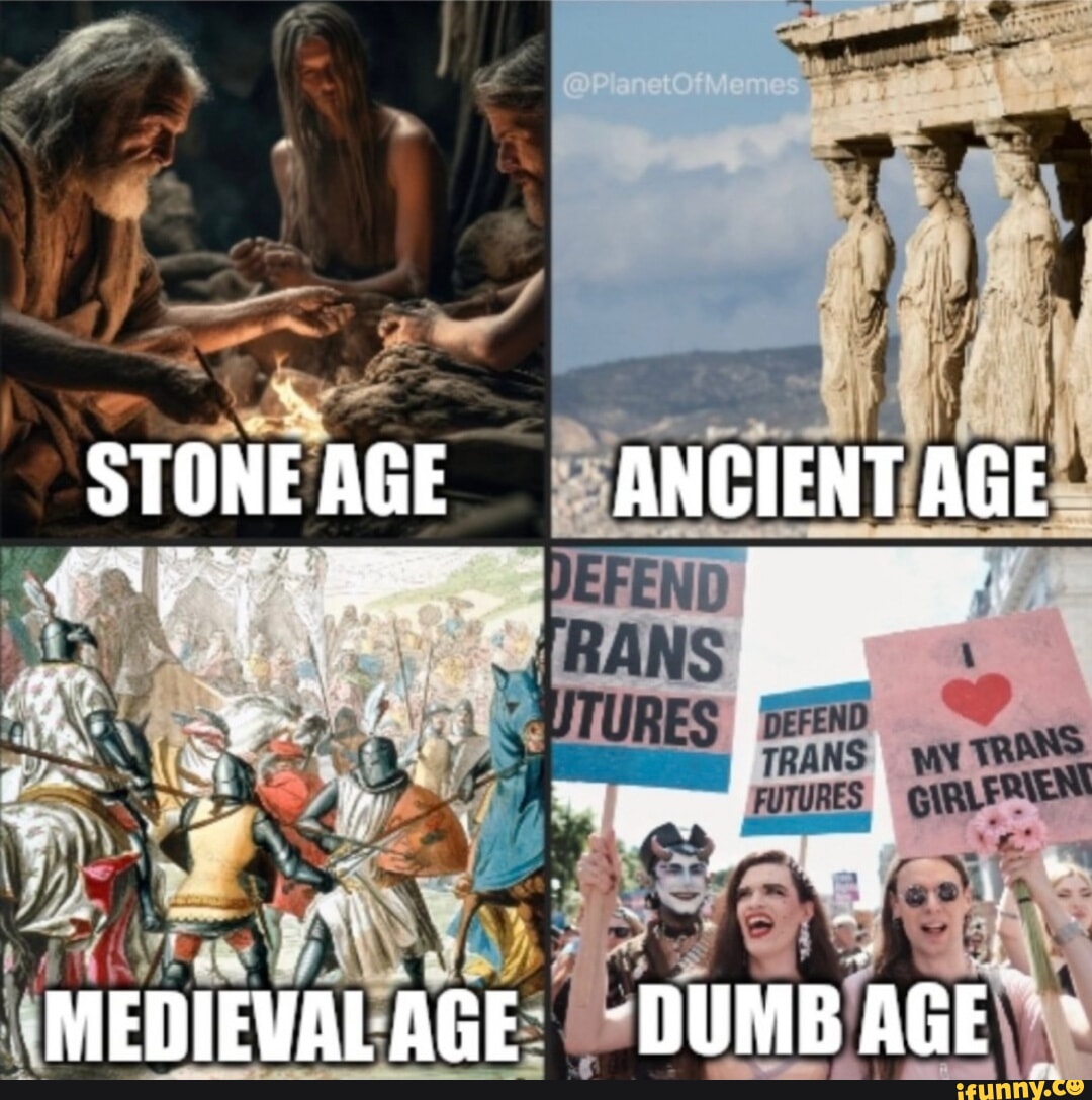 Ag STONE AGE ANCIENT AGE TRANS TRANS MEDIEVALAGE - iFunny