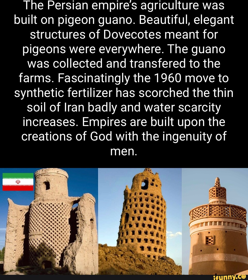 The Persian empires agriculture was built on pigeon guano. Beautiful ...