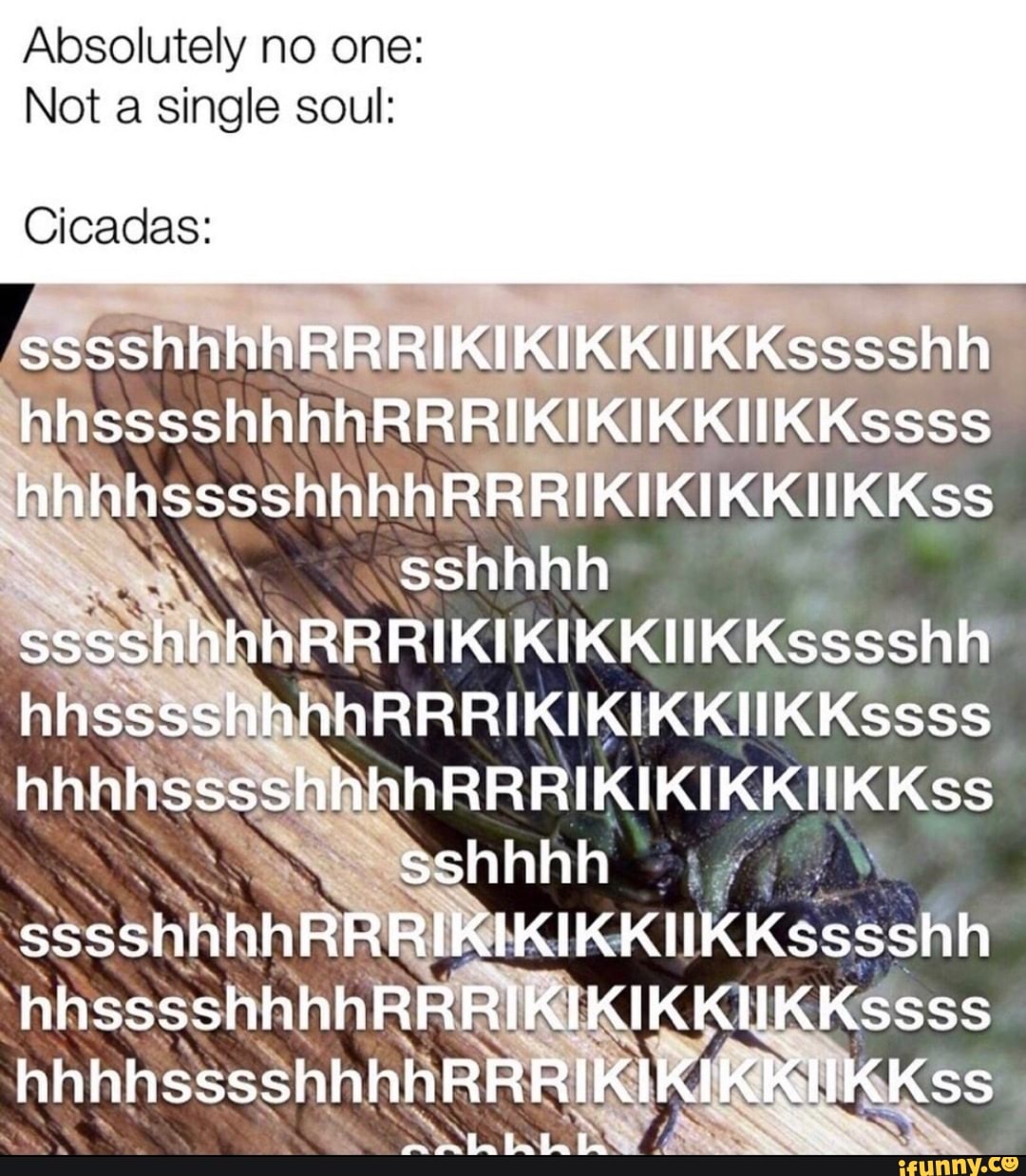 Sshhhh memes. Best Collection of funny Sshhhh pictures on iFunny