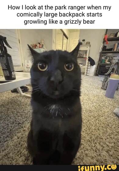 When it's Sam at an Irish wedding irishdaily - iFunny