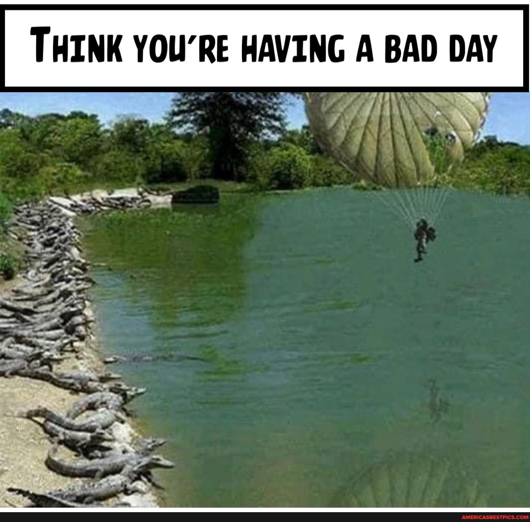 THINK YOU'RE HAVING A BAD DAY - America’s best pics and videos