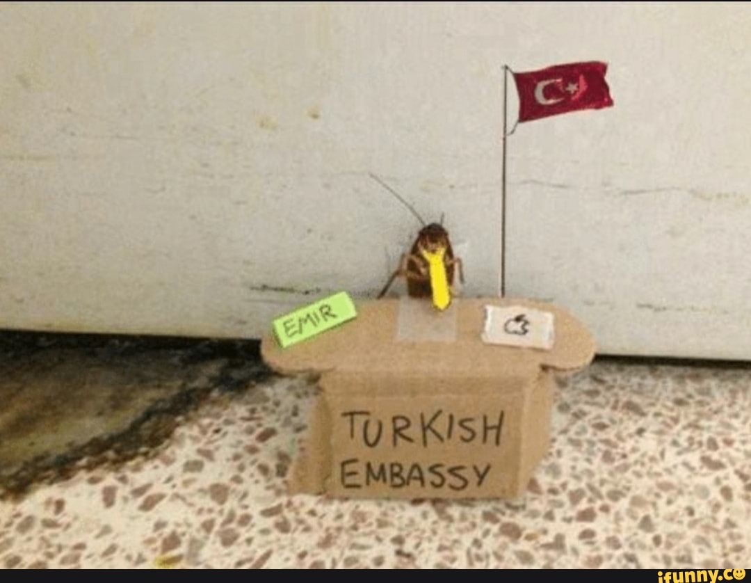 Turkroach memes. Best Collection of funny Turkroach pictures on iFunny