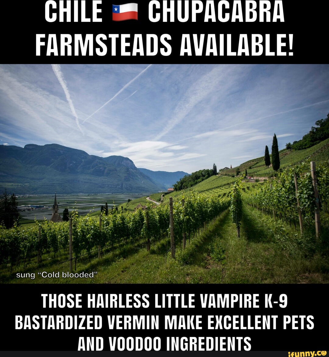 Chupacabra memes. Best Collection of funny Chupacabra pictures on iFunny