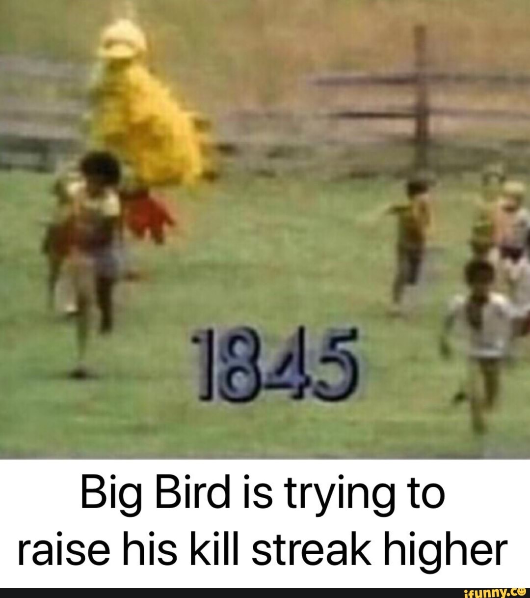 Big Bird is trying to raise his kill streak higher - iFunny