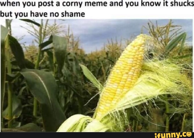 When you post a corny meme and you know it shucks but you have no shame ...