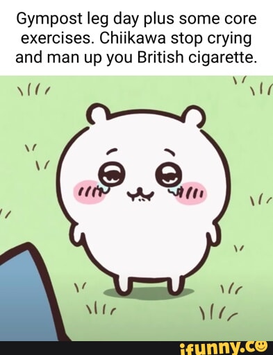 Chiikawa memes. Best Collection of funny Chiikawa pictures on iFunny