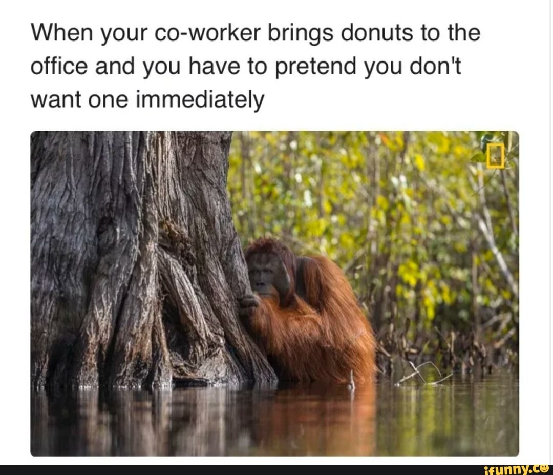 When your co-worker brings donuts to the office and you have to pretend ...