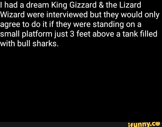 I had a dream King Gizzard the Lizard Wizard were interviewed but they ...