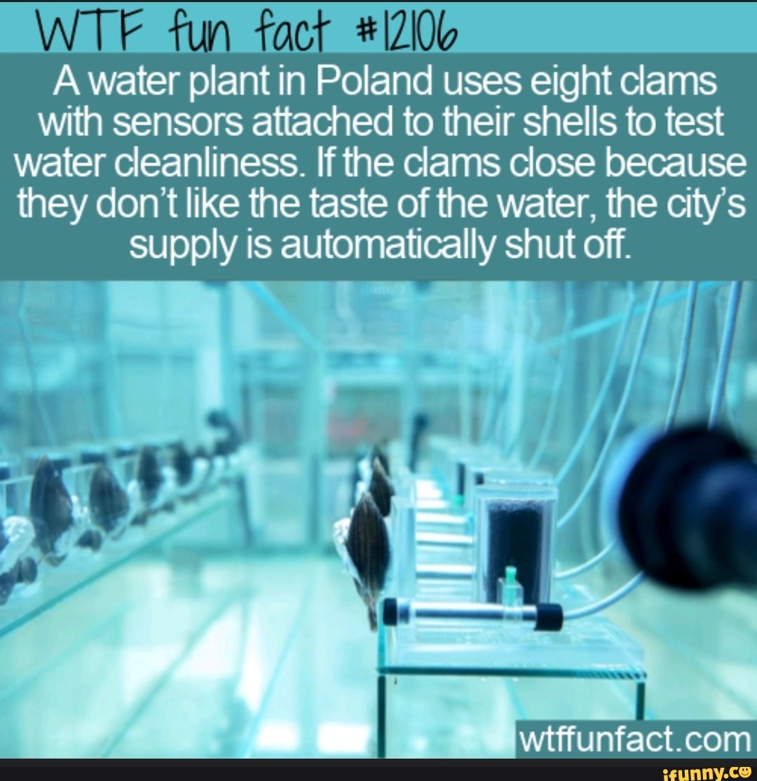 Ia A water plant in Poland uses eight clams with sensors attached to ...