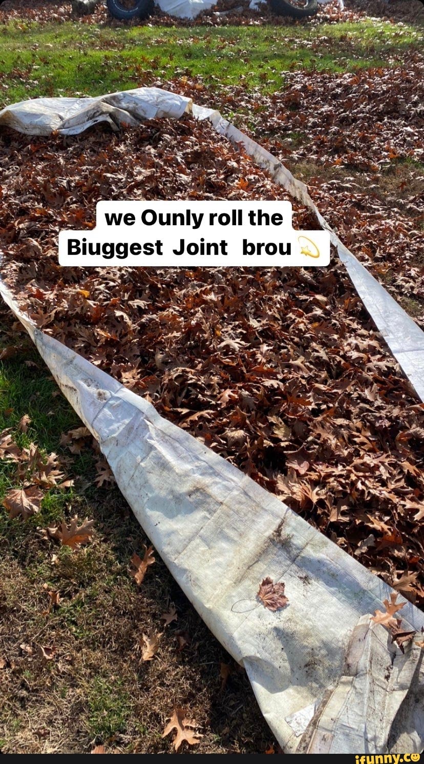 Joint memes. Best Collection of funny Joint pictures on iFunny