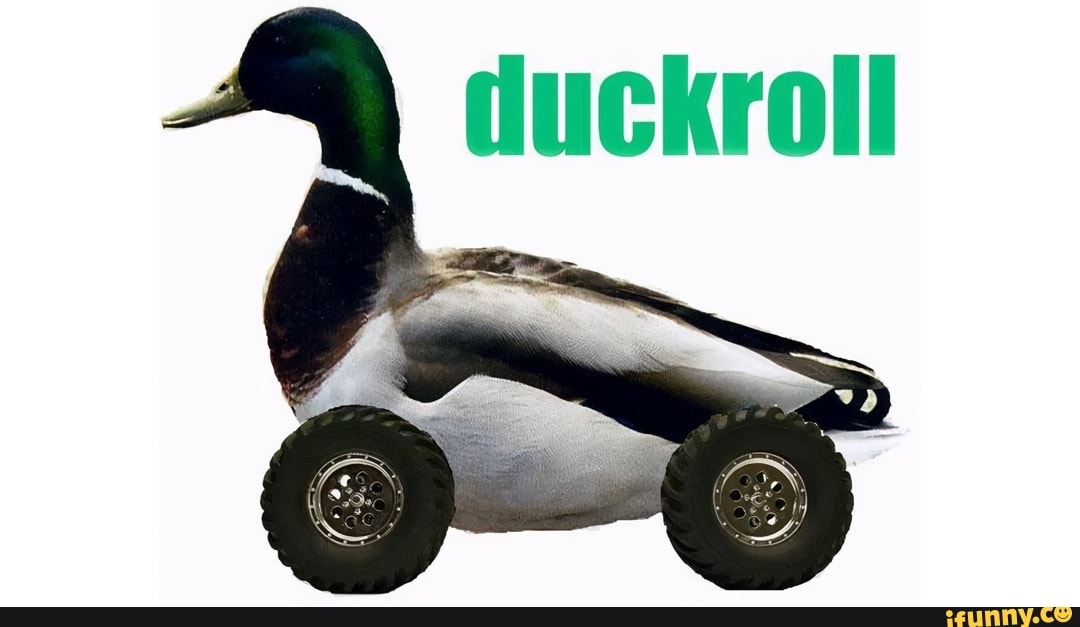 Duckroll memes. Best Collection of funny Duckroll pictures on iFunny