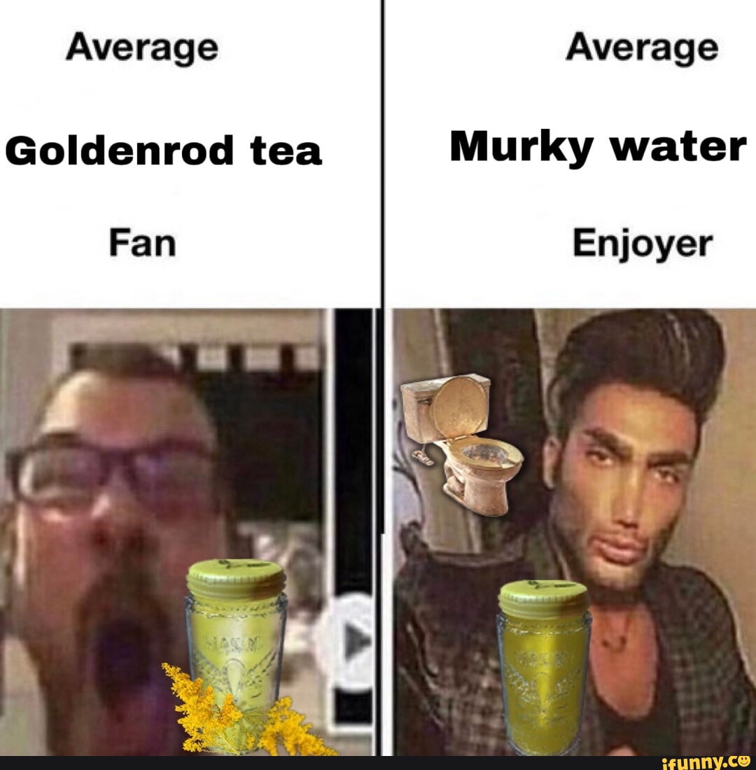 Average Average Goldenrod tea Murky water Enjoyer - iFunny