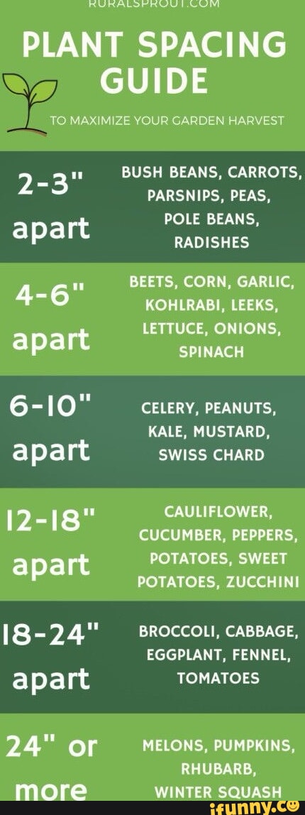 Maximize memes. Best Collection of funny Maximize pictures on iFunny