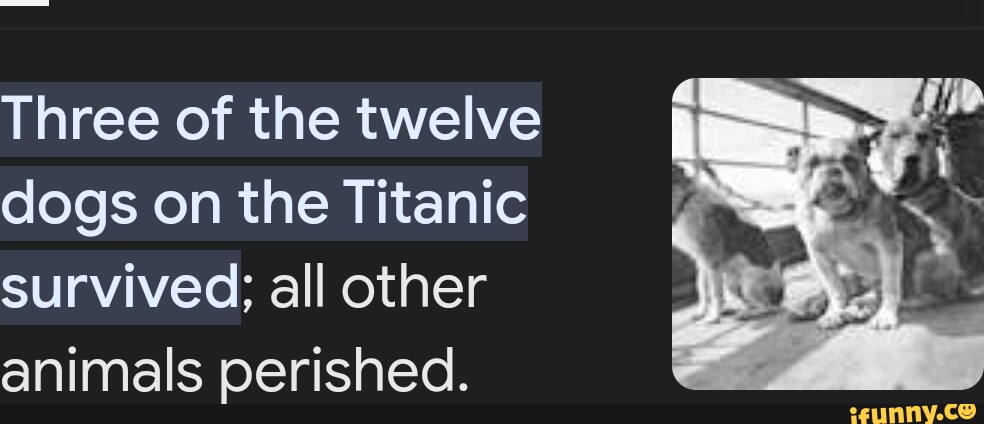 Three of the twelve dogs on the Titanic survived; all other animals ...