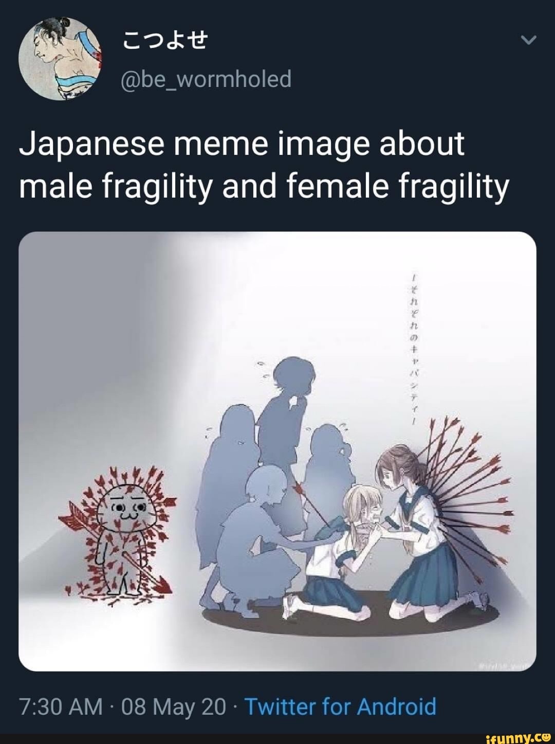 Japanese meme image about male fragility and female fragility Twitter ...