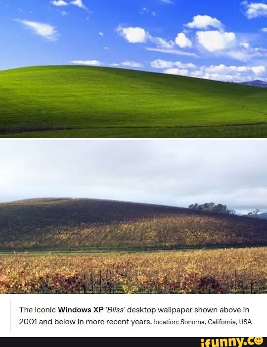 The iconic Windows XP 'Bliss' desktop wallpaper shown above in 2001 and ...