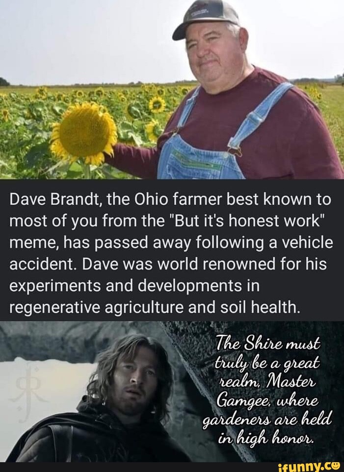 Developments memes. Best Collection of funny Developments pictures on ...