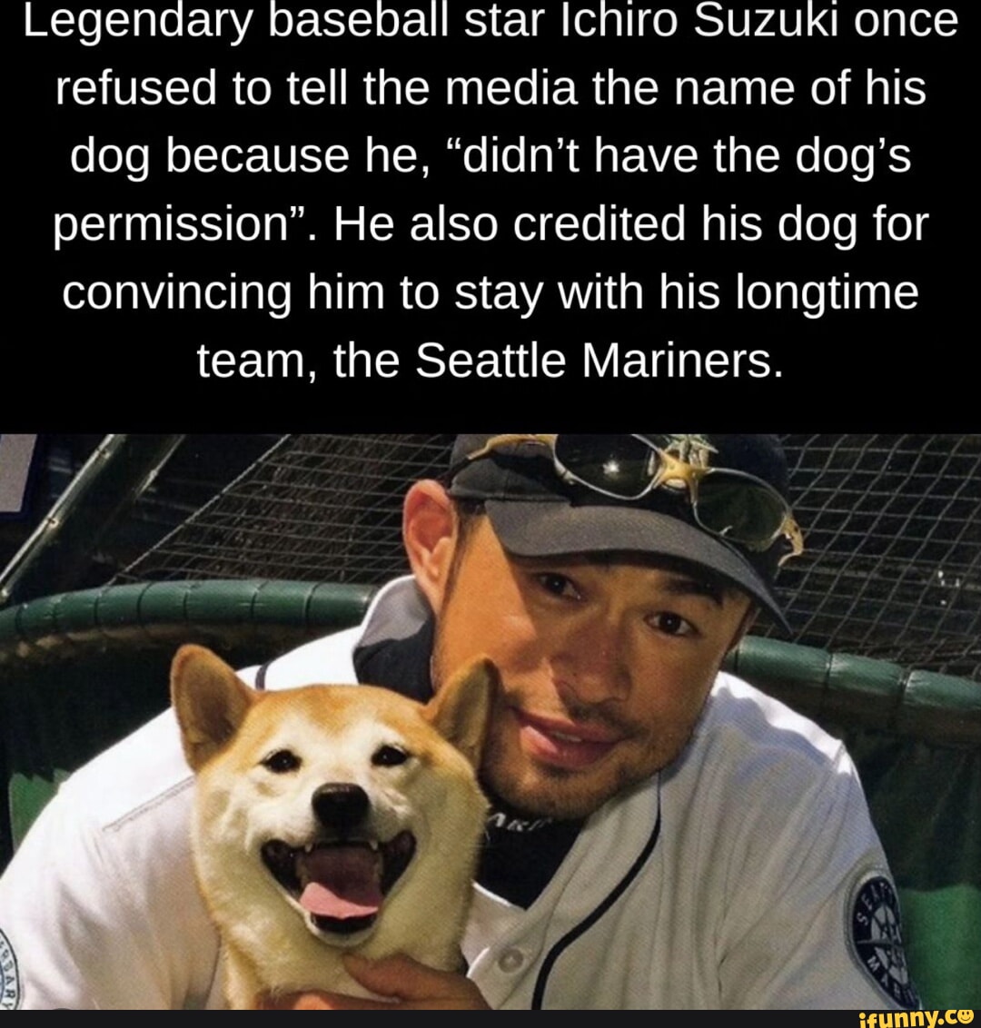 Convincing memes. Best Collection of funny Convincing pictures on iFunny