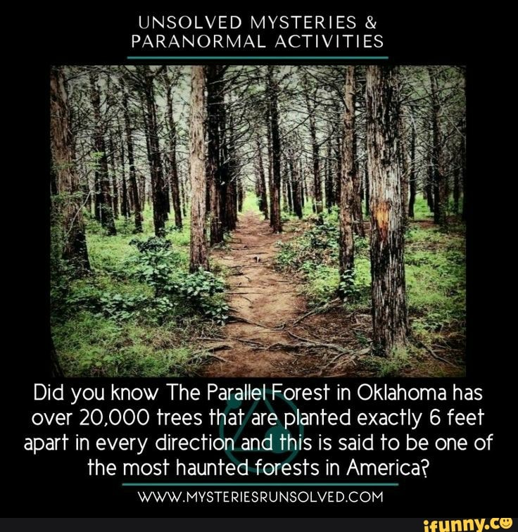 UNSOLVED MYSTERIES PARANORMAL ACTIVITIES Did you know The Parallel ...