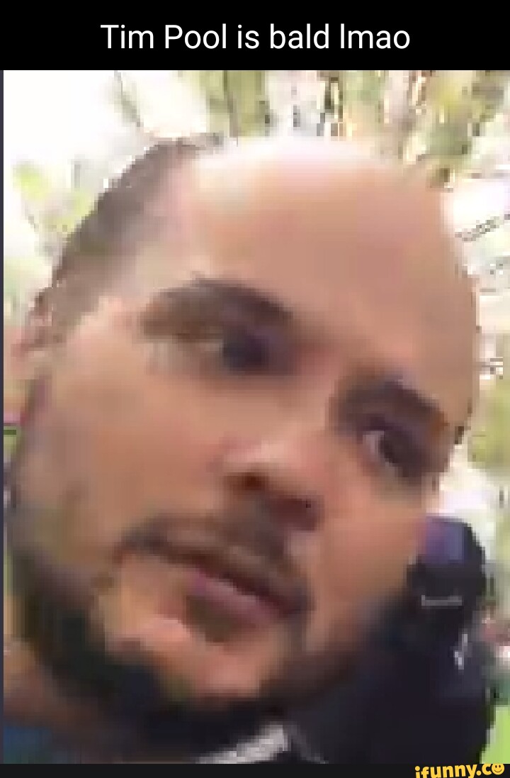 Tim Pool is bald Imao - iFunny