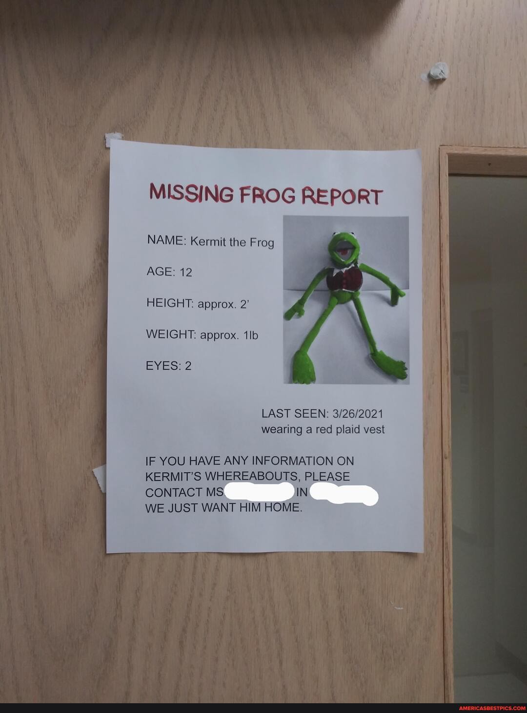 MISSING FROG REPORT NAME: Kermit the Frog AGE: 12 HEIGHT. approx. 2 ...