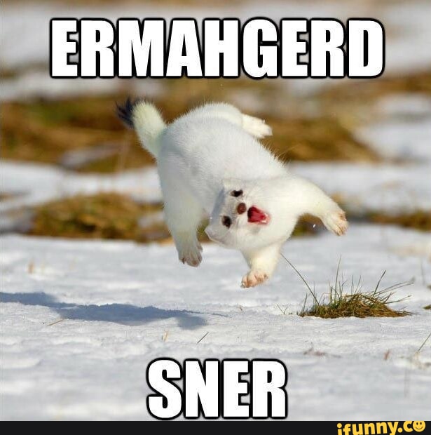 Weasel memes. Best Collection of funny Weasel pictures on iFunny