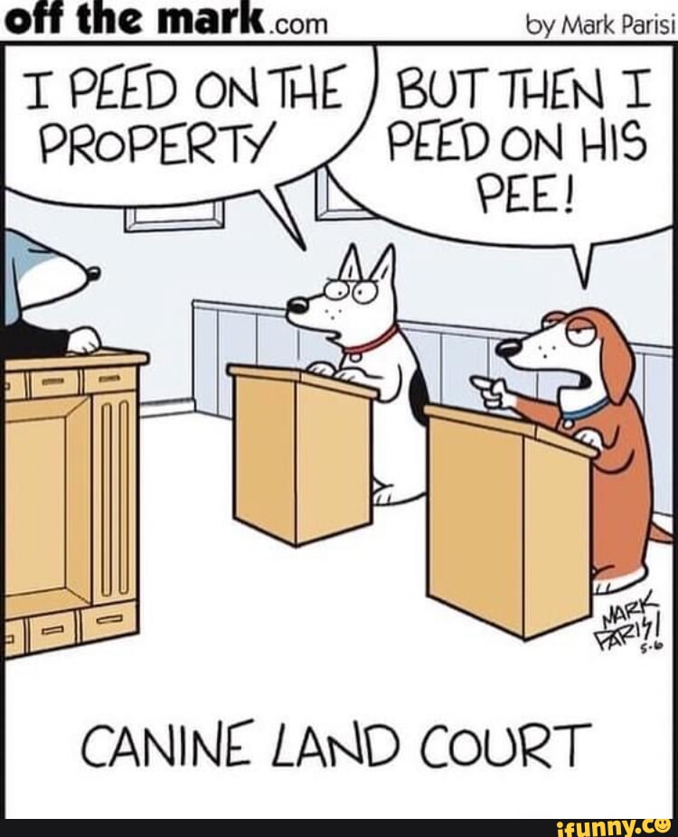 Picture memes bslNcKU1A by Jason17: 342 comments - iFunny