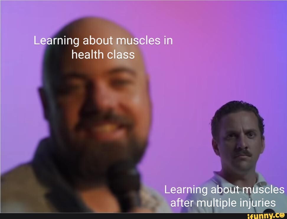 Learning about muscles in health class Learning about muscles after ...