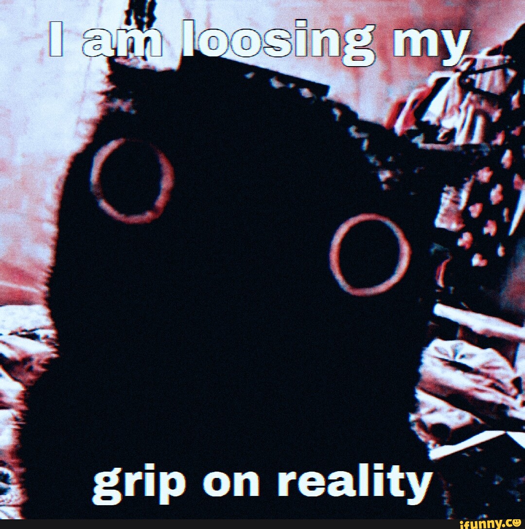 Lam loosing my_ grip on reality - iFunny